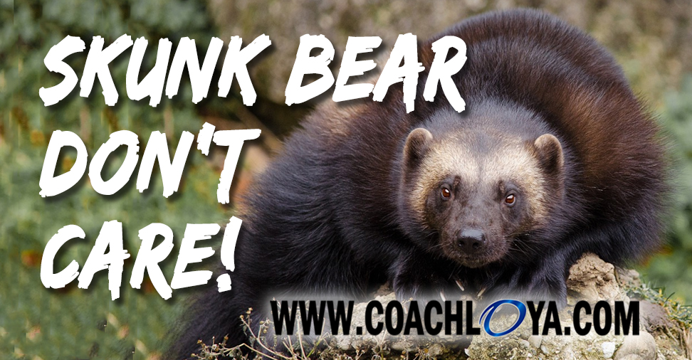 Skunk Bear Don’t Care | Lance Loya